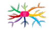 Branch Mind Map - HBN Infotech