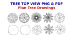 Tree Top View PNG & PDF for Floor Plans - Free Download